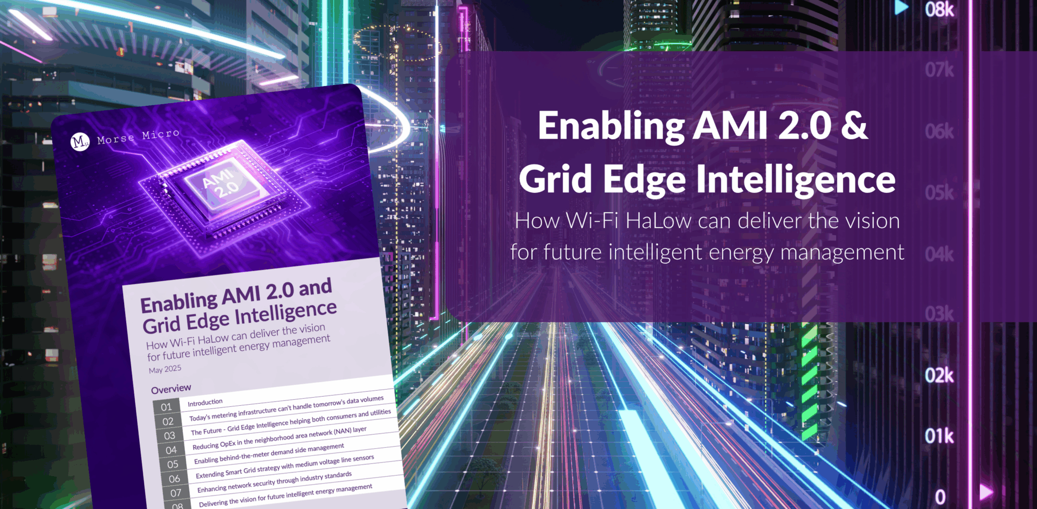 스마트 미터 백서 – Morse Micro